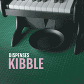 PET PIANO – Pet Piano