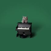 Pet Piano (Pre-Order)
